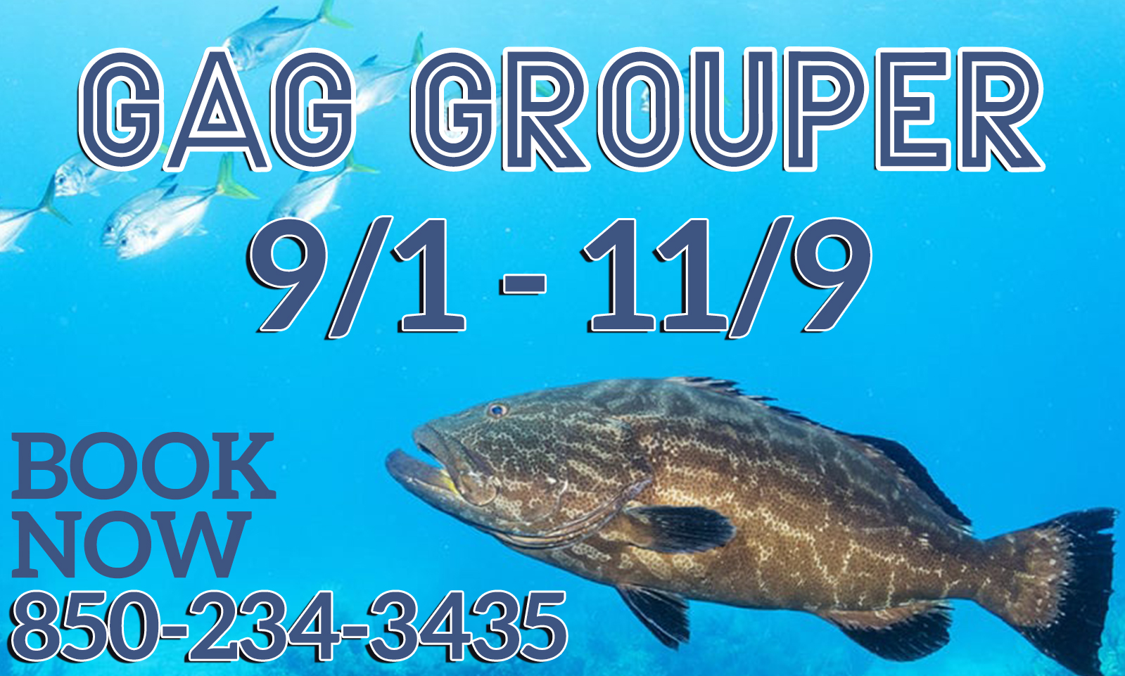 Deep Sea Fishing, Private Charters, Sunset Cruises & Dolphin Tours ...