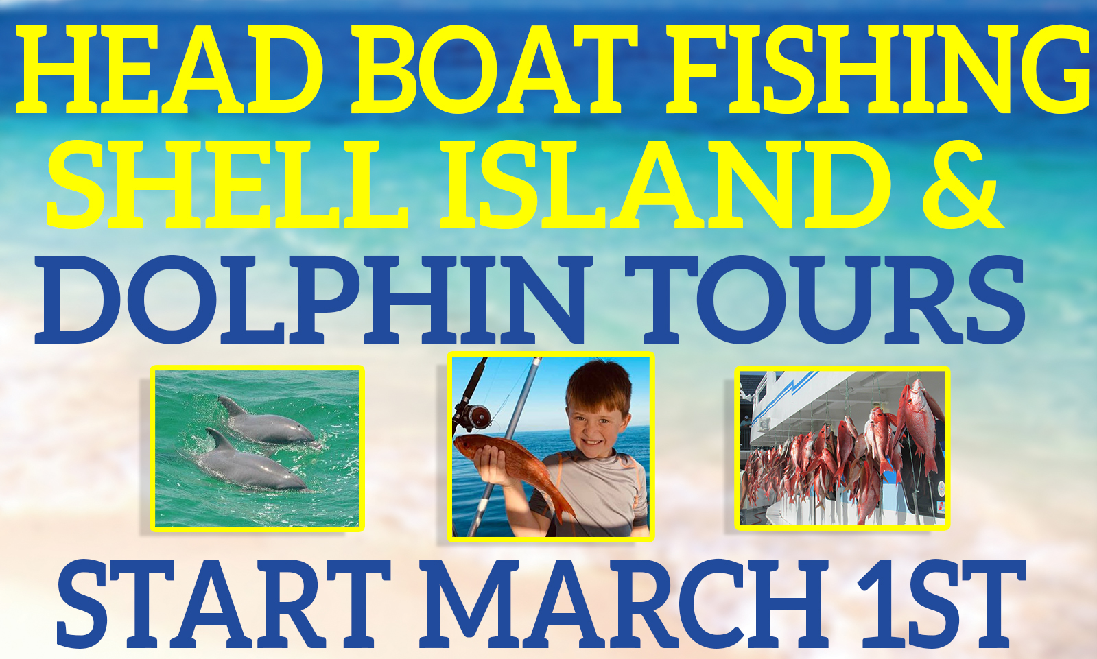 Deep Sea Fishing, Private Charters, Sunset Cruises & Dolphin Tours ...