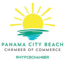 Best Dolphin Tours in Panama City Beach: 2026 Guide